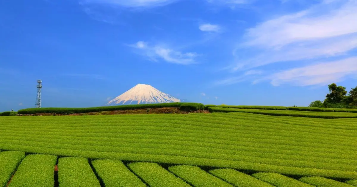 The Nine Prefectures of Chubu - Plan your Japan trip - Japan Travel