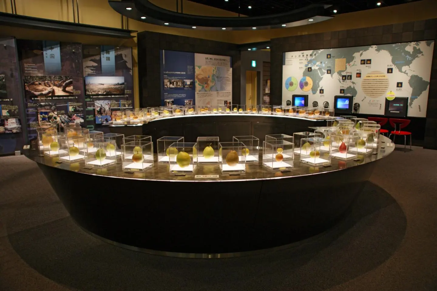 Tottori Nijisseiki Pear Museum - Tottori - Japan Travel