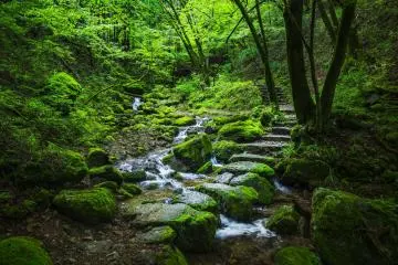 An Enriching Getaway in Ome City - Tokyo - Japan Travel