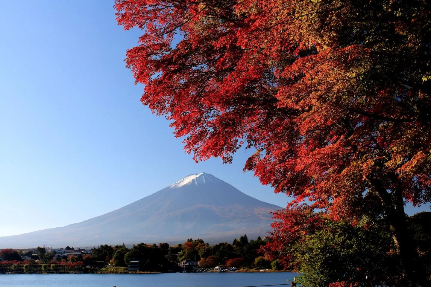 Japan's 2025 Autumn Leaves Forecast - Things to Do - Japan Travel
